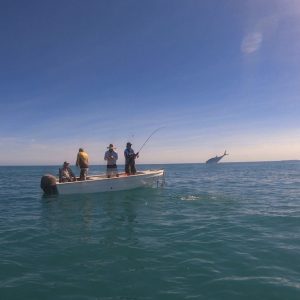 Australian Sport Fishing Charters: Fish NT Or Cairns