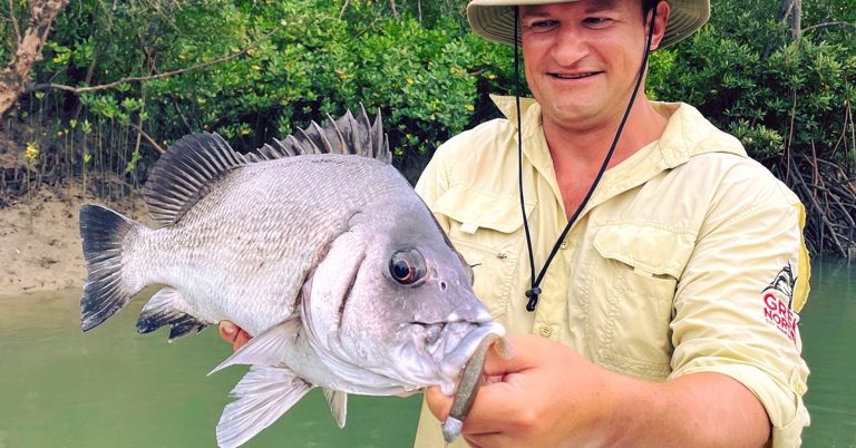 Fish Species Of Australia | A Fishing Guide For NT And QLD