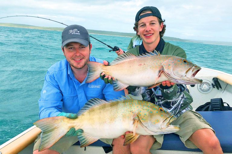 Fish Species Of Australia | A Guide To Fishing NT And QLD