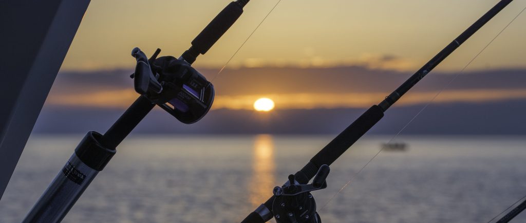 Fishing Styles | Expert Fishing Guides Onboard Australian SportFishing ...